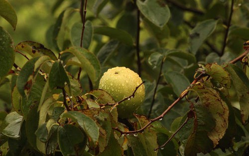 Detailed Explanation of Guava RateLimiter's Throttling Mechanism - DZone