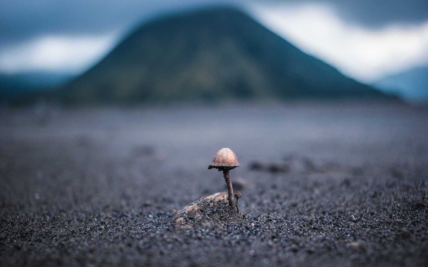 Sso — Wso2 Api Manager And Keycloak Dzone