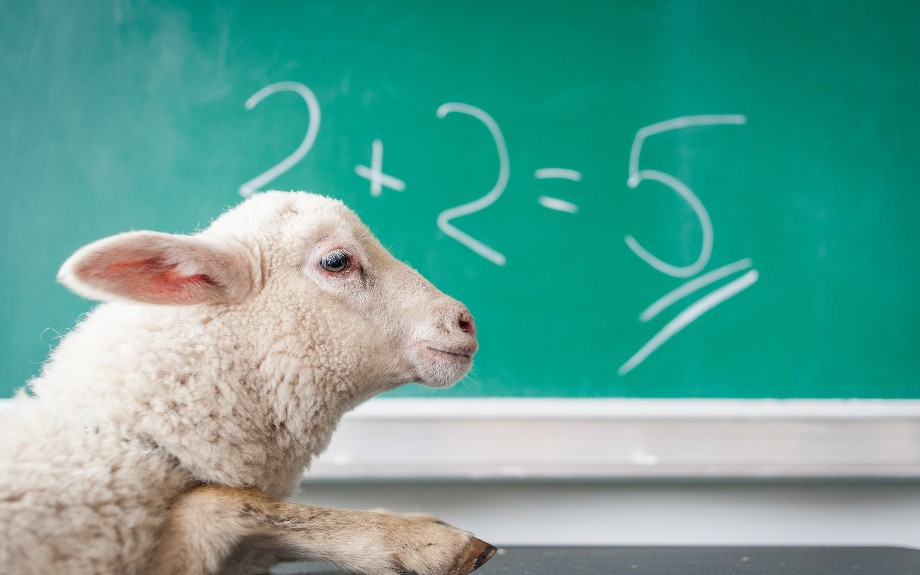 Is IntelliJ Making Us Stupid? It's Complicated - DZone