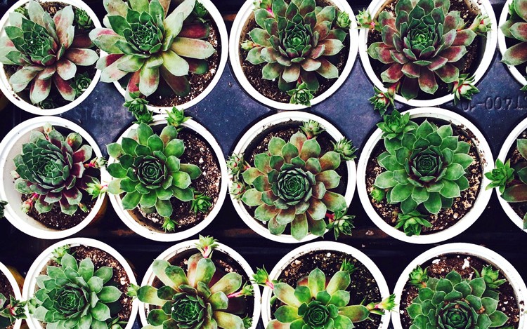 How to Choose the MySQL innodb_log_file_size - DZone